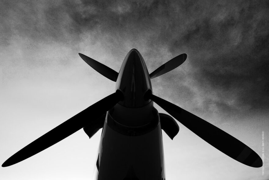 Homepage - Tom Solo Tom Solo